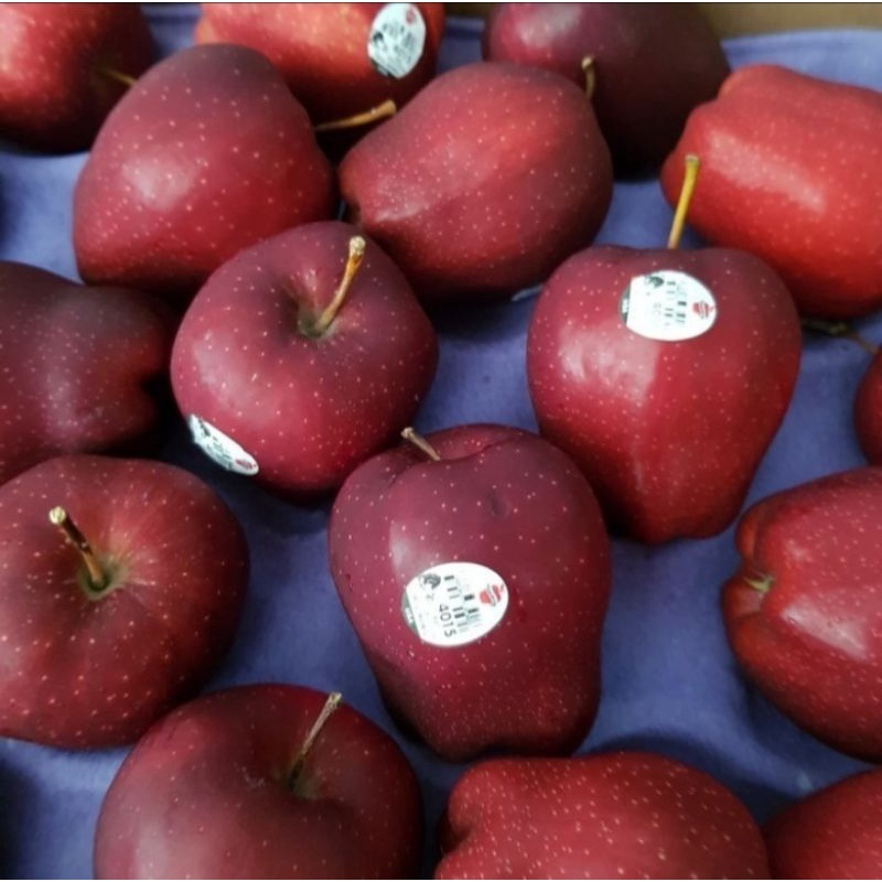 Jual Apel Washington 1 kg | Shopee Indonesia