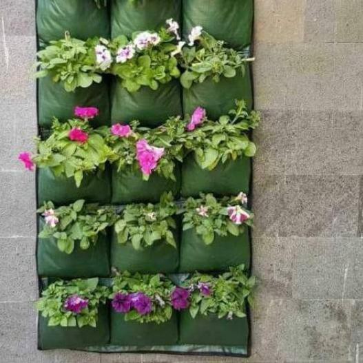 Jual (DISKON) Pot Tanaman Pot Bunga Wall Planter Bag Dinding Planterbag ...