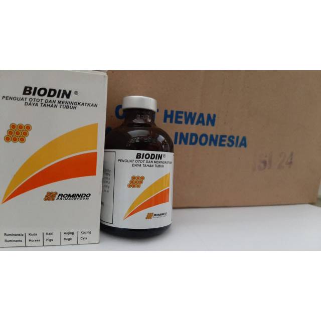 Jual BIODIN 100ml penambah tenaga dan penguat otot | Shopee Indonesia