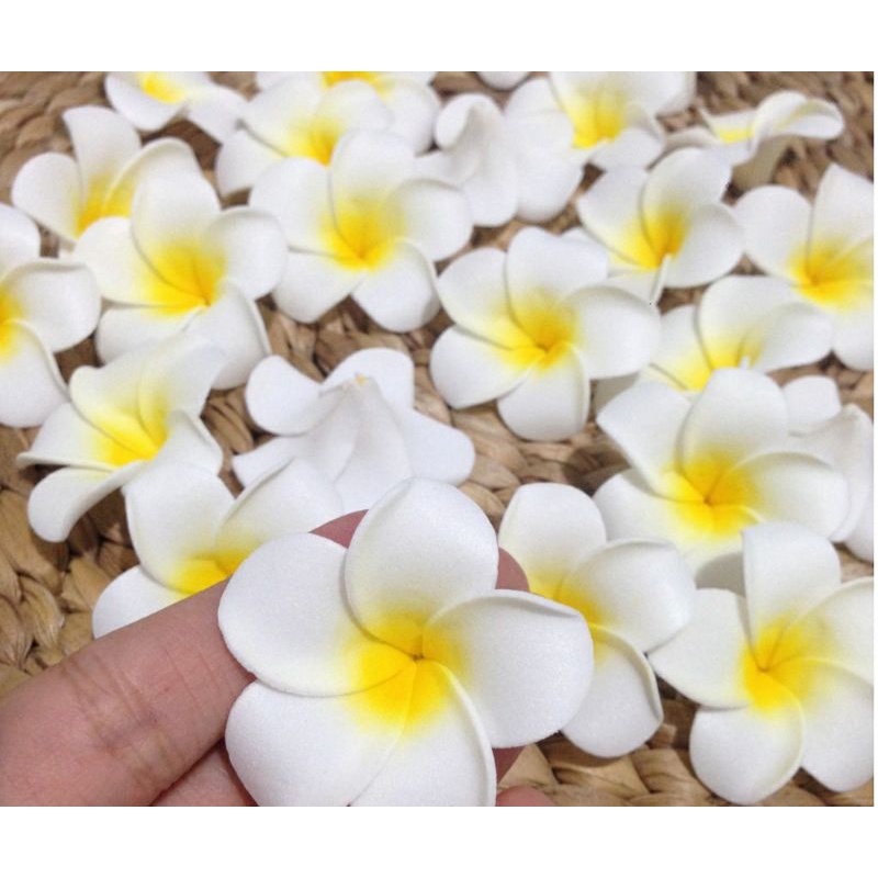 Jual Bunga bali tanpa jepit | Shopee Indonesia