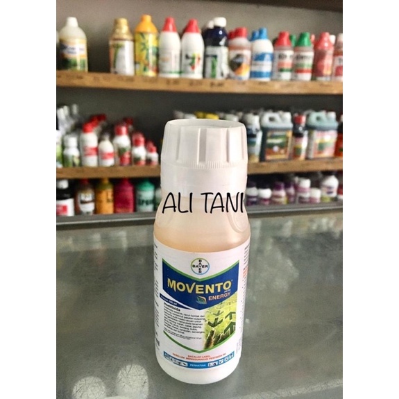 Jual MOVENTO ENERGY 240SC Kemasan 100 ML Insektisida | Shopee Indonesia