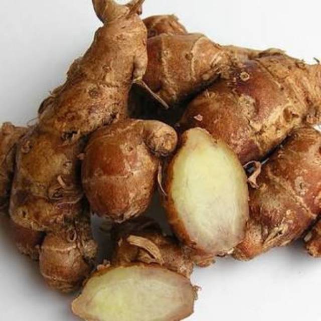 Jual Kencur segar 1 kg kencur tua Jawa asli | Shopee Indonesia