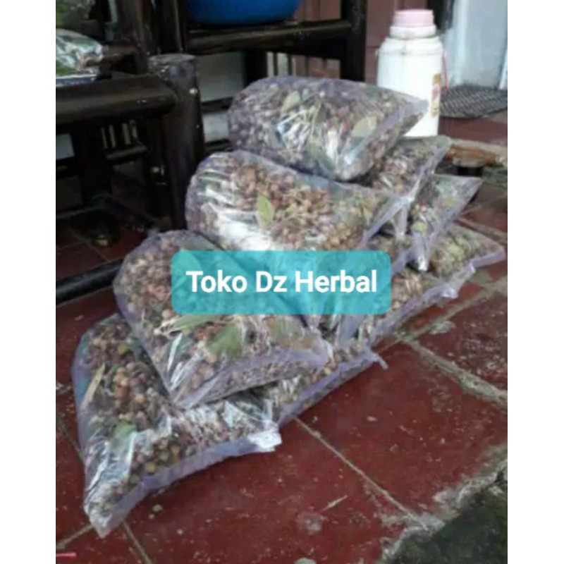 Jual Paket 500 gram buah senduduk senggani segar-az | Shopee Indonesia