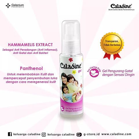 Jual Caladine Gel Pengurang Gatal 50ml EXP Feb 2021 | Shopee Indonesia