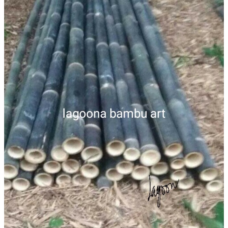 Jual bambu hitam potong glondongan utuh 100 cm | Shopee Indonesia