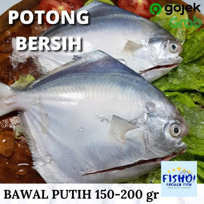 Jual Fisho | Ikan Bawal Putih Laut Beku Fresh Segar 1 Kg Ready stock ...