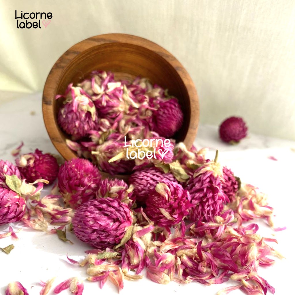 Jual Dried Flower bunga kering Lavender Daisy Hiasan dekorasi resin ...