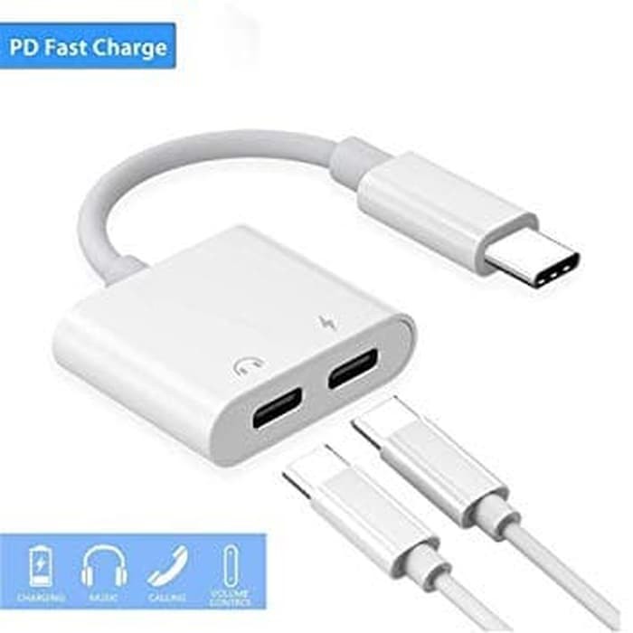 Jual USB Type C to 2 USB Type C Female Splitter type c CHIPSET DAC ...