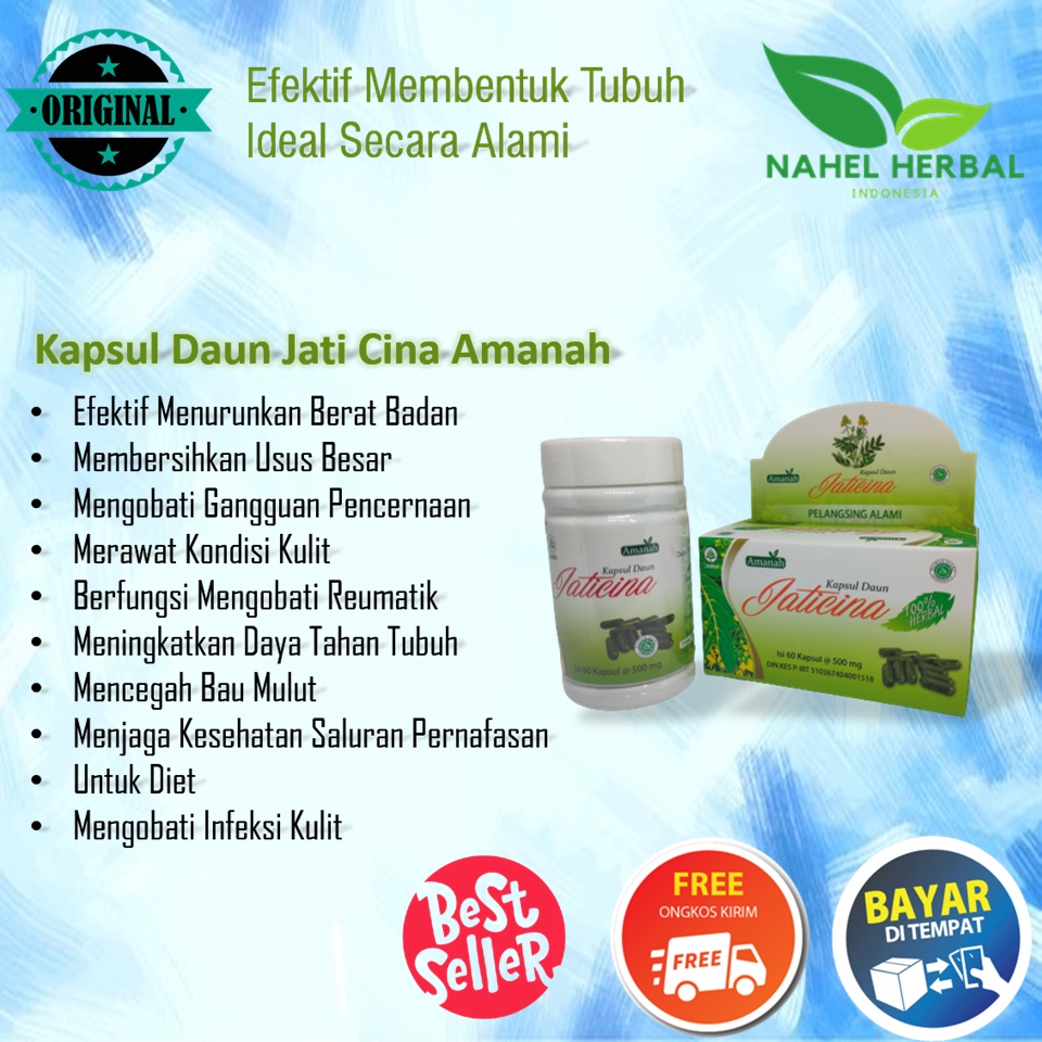 Jual Kapsul Pelangsing Alami Daun Jati Cina Original 100% Murah ...
