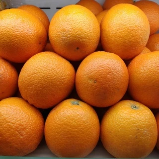 Jual Jeruk 1 Kg Terlengkap & Harga Terbaru Juni 2024 | Shopee Indonesia