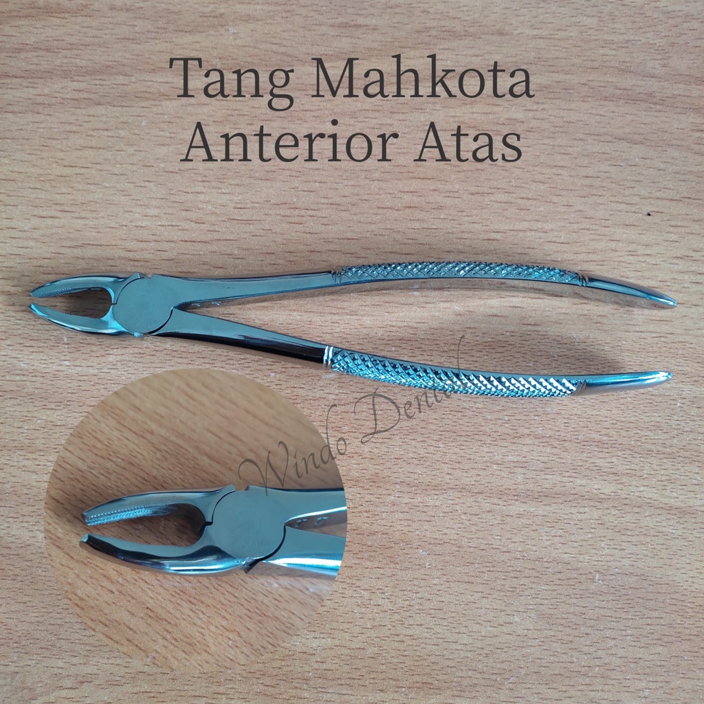 Jual DENTAL TANG CABUT GIGI DEWASA PER PCS ADULT TOOTH FORCEP / FORCEPT ...