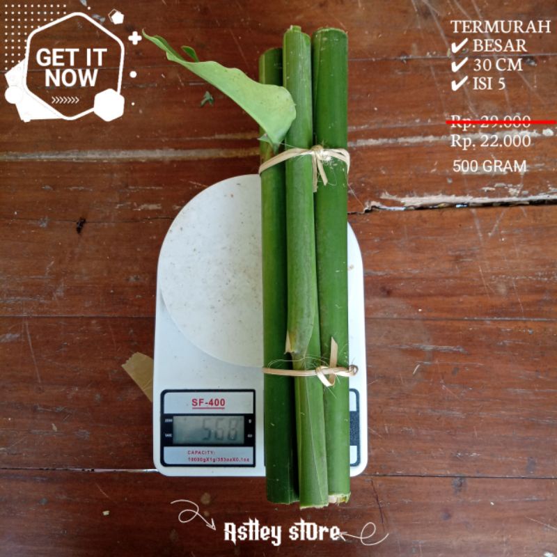 Jual Batang Kecombrang Segar Atau Batang Honje Honjelaka 1 KG | Shopee ...