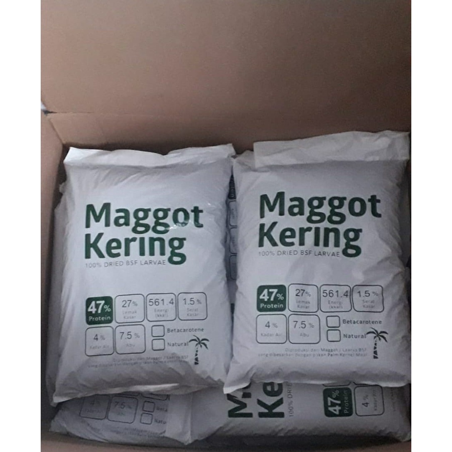 Jual Maggot Kering BSF Kering/Dry Maggot 1 kg - ( Pakan Ikan Koi, Chana ...
