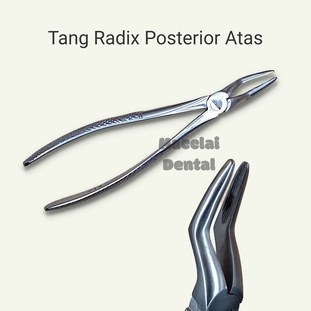 Jual DENTAL TANG CABUT GIGI DEWASA ECER / PER PCS TOOTH FORCEP SATUAN ...