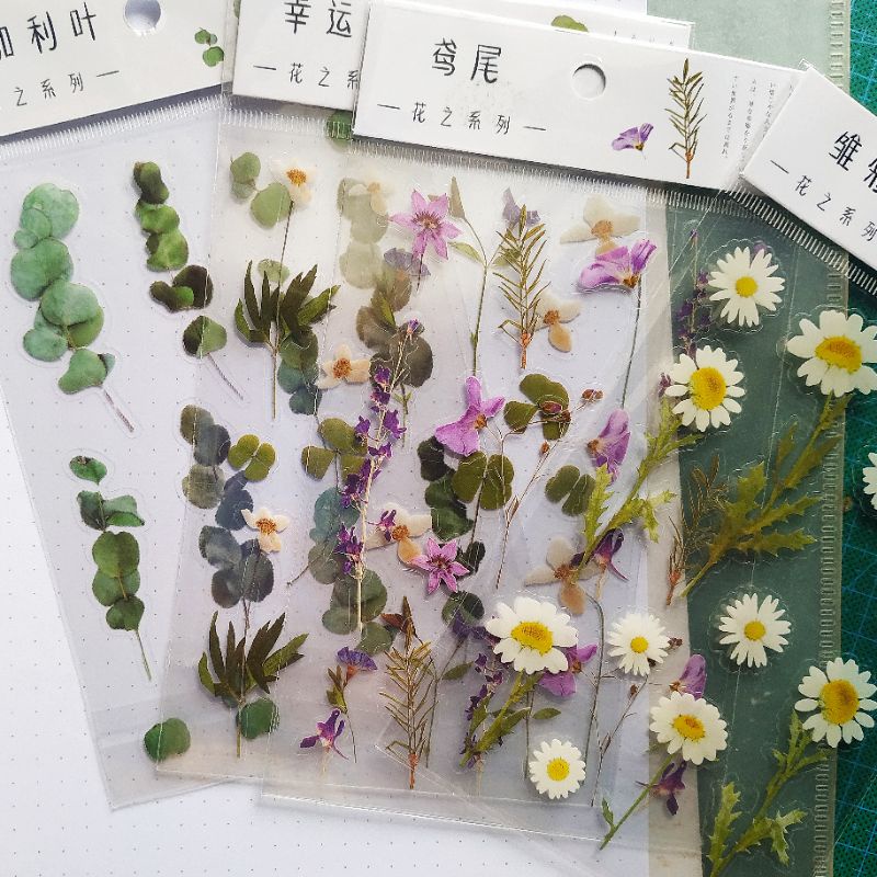 Jual Sticker transparan Bullet Journal / scrapbooking tema Tumbuhan ...