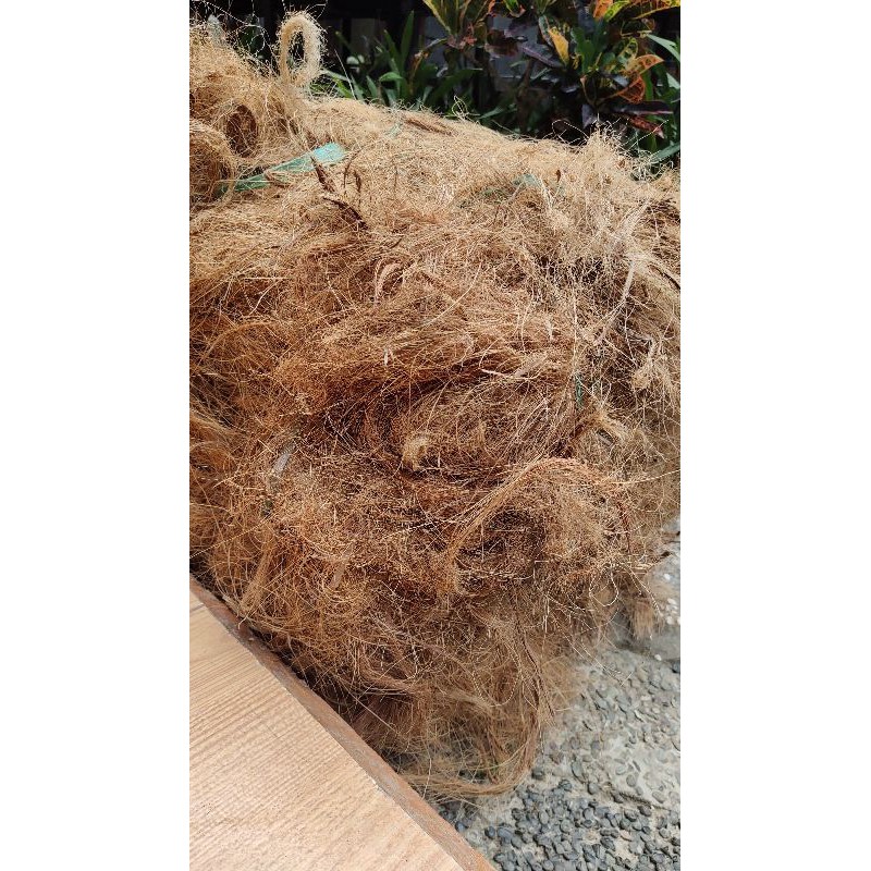Jual Serabut Kelapa/ Sabut Kelapa / Coco Fiber - Media Sabut Kelapa ...