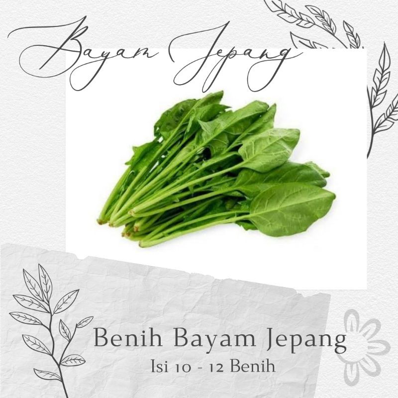 Jual Benih Bayam Jepang ( Horenzo ) | Shopee Indonesia
