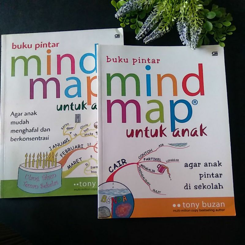 Jual Buku pintar Mind map umtuk anak bahasa indonesia prelove | Shopee ...