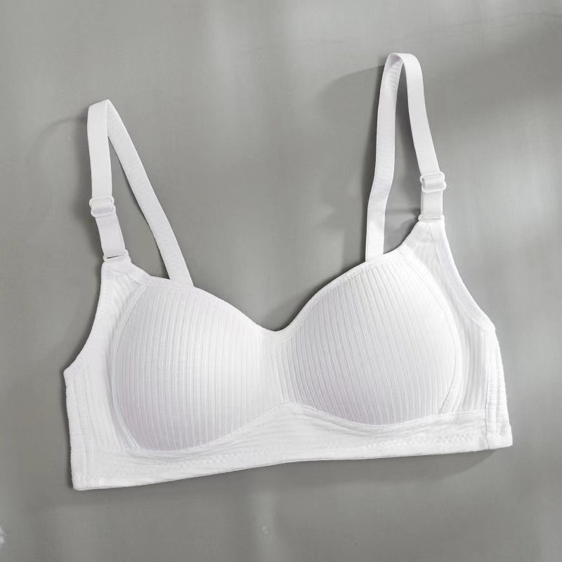Jual Miss curiosity BH Bra motif garis lurus Push Up Style Senam Zumba ...
