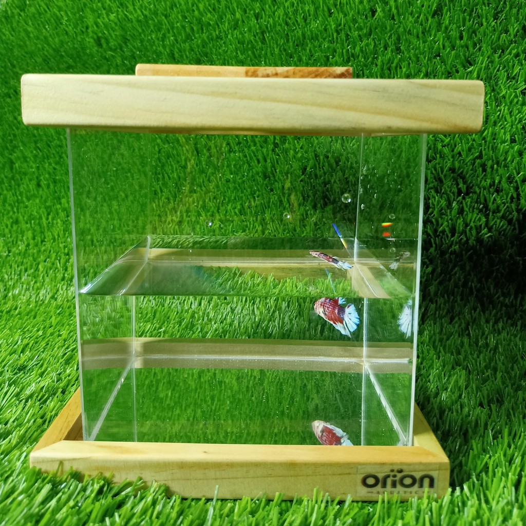 Jual [SIAP KIRIM] Soliter Akrilik Iron Medium - SOLITER - SOLITER ...