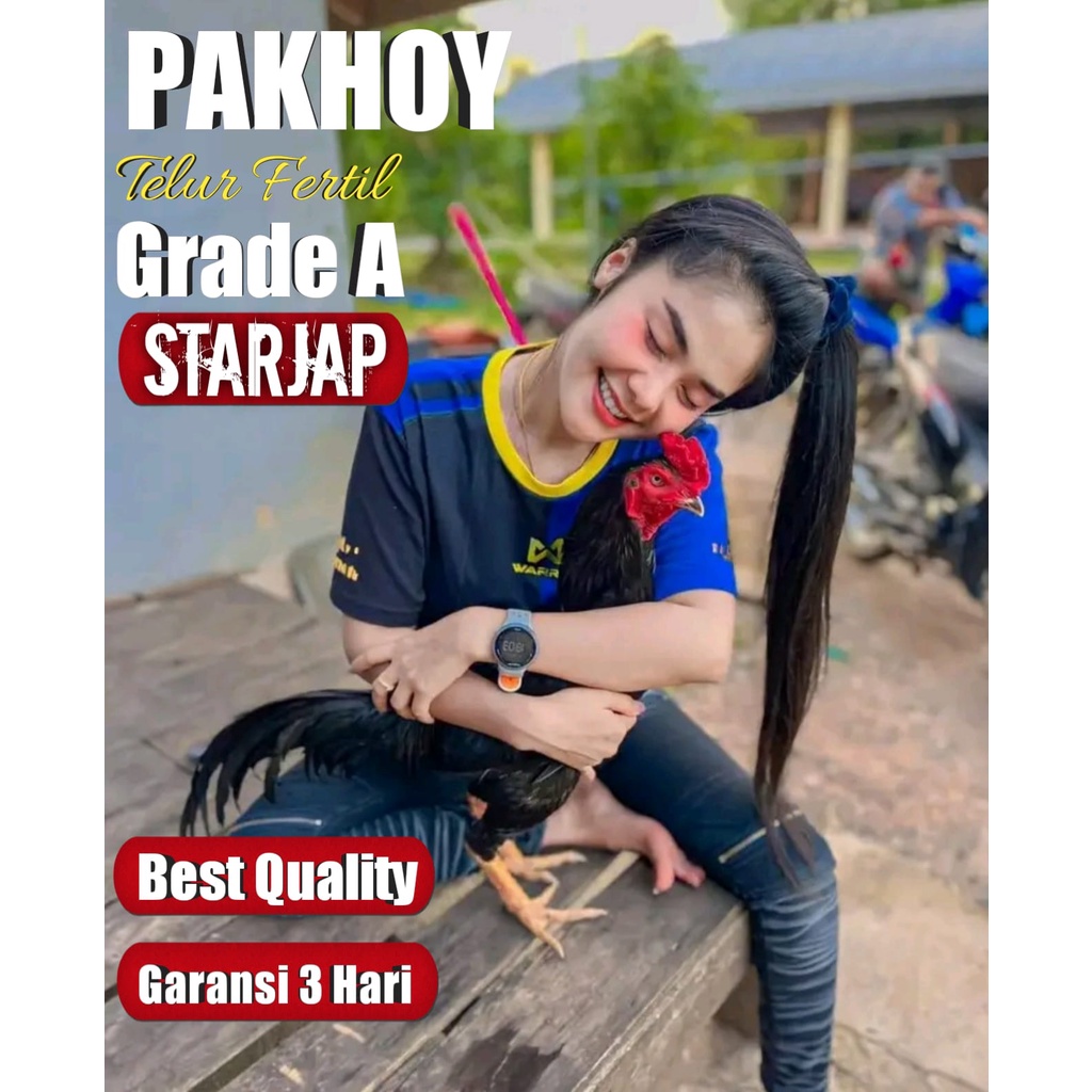 Jual telur ayam bangkok super fertil bergaransi pakhoy brutal thailand ...