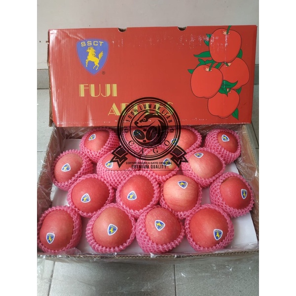 Jual Apel Fuji SSCT Horse Premium 1 Dus (13 Kg) Fresh Import | Shopee ...