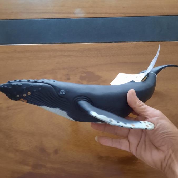 Jual Mainan Ikan Paus Biru Figure Ocean World Whale Blue Jumbo Size ...