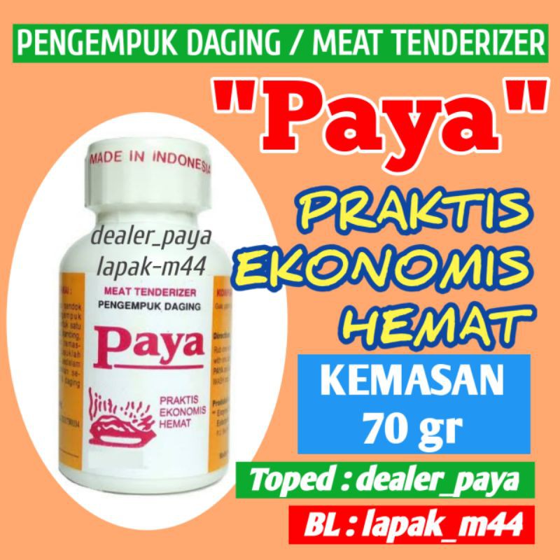 Jual PAYA Pengempuk Daging / Meat Tenderizer 70 gr | Shopee Indonesia