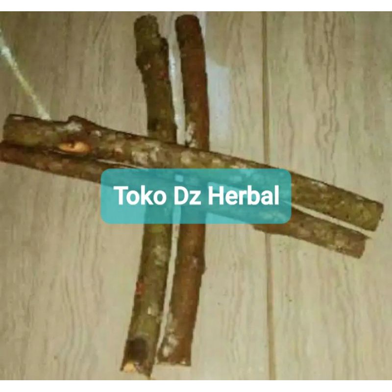 Jual Batang pohon pinus ranting pinus isi 10 batang-az | Shopee Indonesia