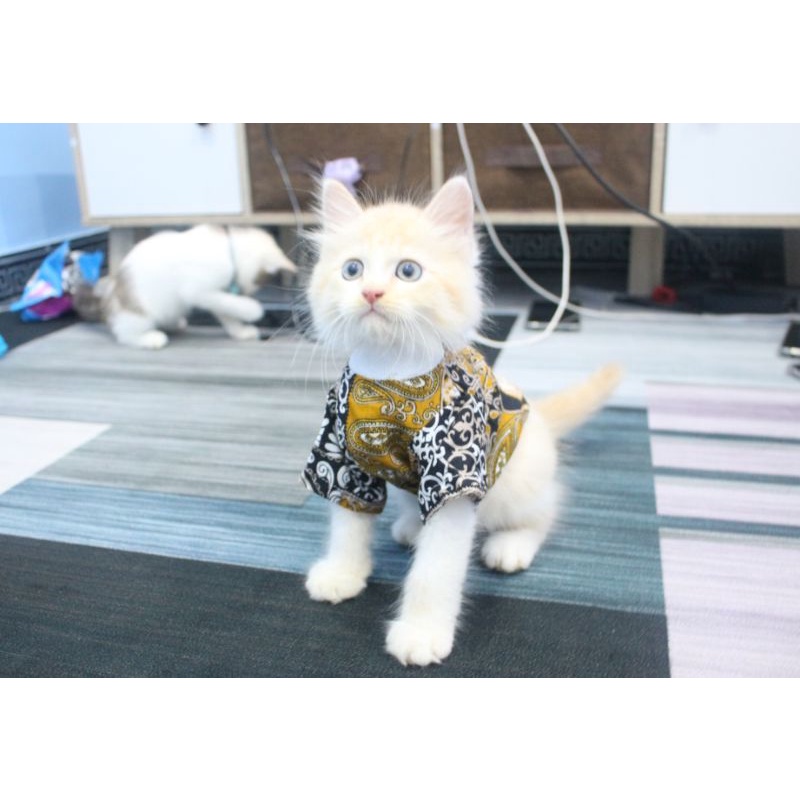 Jual Baju kucing baju batik untuk kucing atau anjing size S-XL | Shopee ...