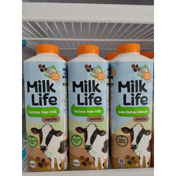 Jual Milk life fresh milk susu milklife susu fresh 1 liter | Shopee ...
