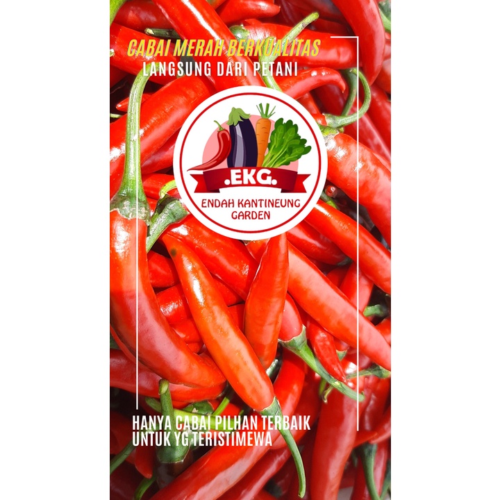 Jual Cabe Merah Besar (100 gram) | Shopee Indonesia