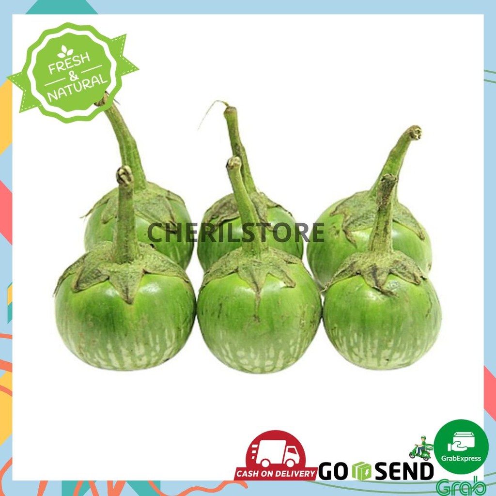 Jual TERONG HIJAU BULAT 500GR SAYUR SAYURANS SEGAR BELANJA ONLINE ...