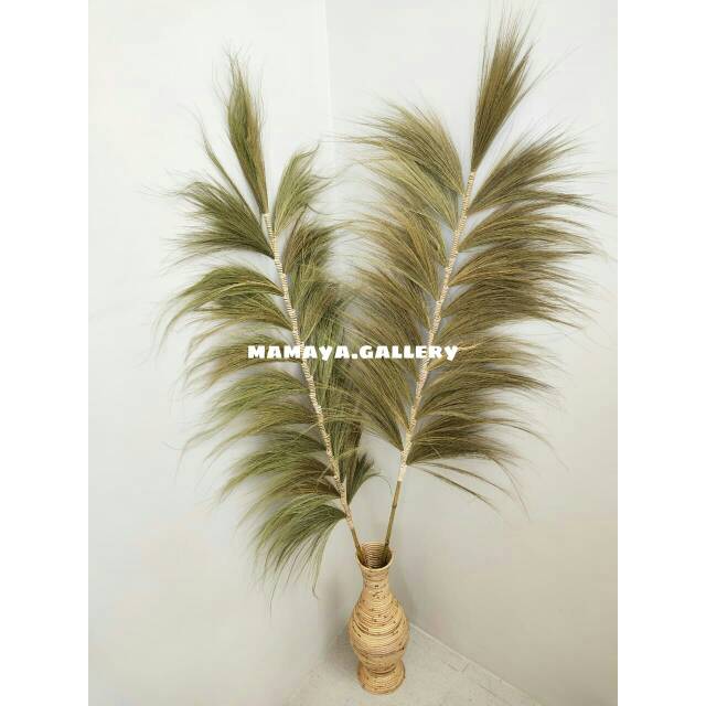 Jual Rayung Kering | Rayung stick wall decor | Shopee Indonesia