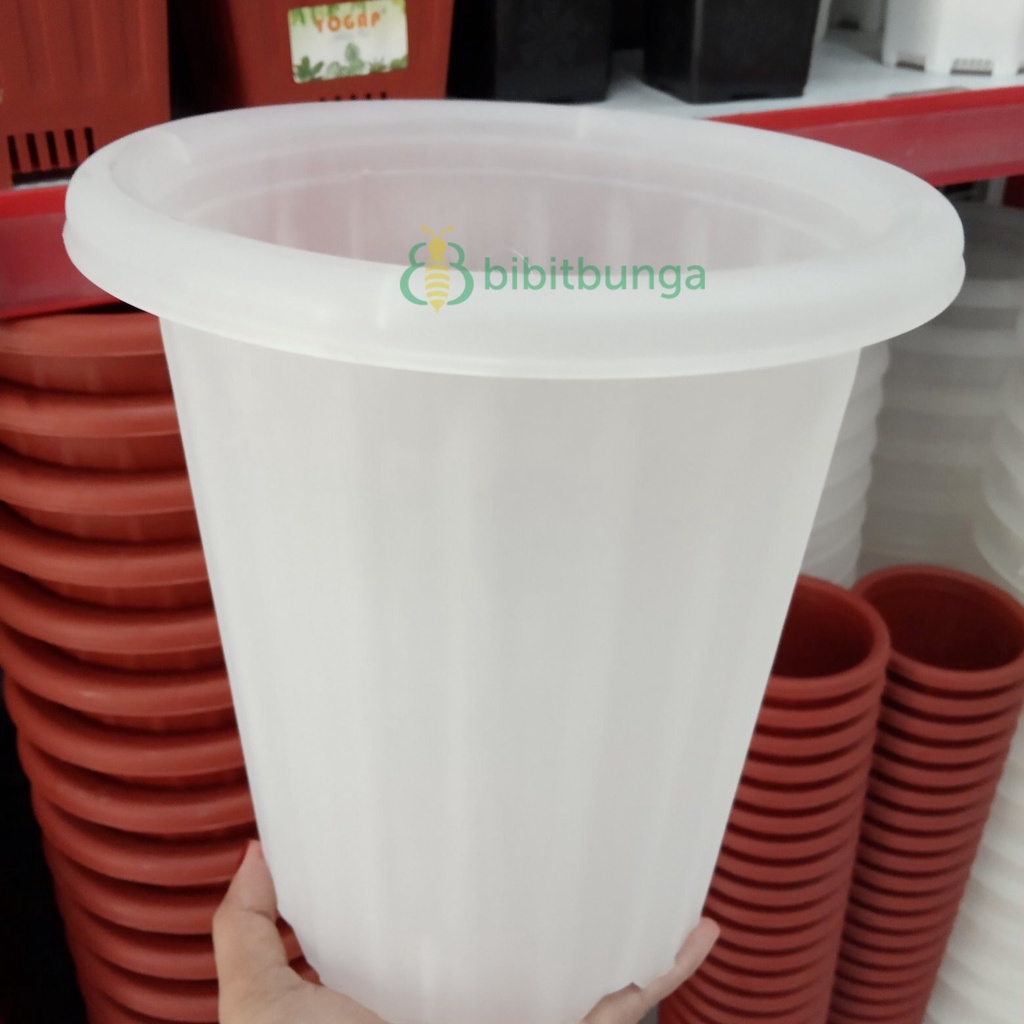 Jual Pot Yogap YPT 17cm 17 cm Bening Model Tinggi Transparan Tanaman ...