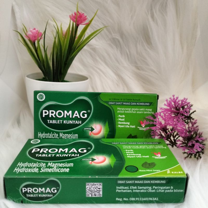 Jual PROMAG TABLET (1 strip/10 tablet) | Shopee Indonesia