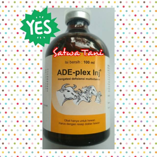 Jual ADE-Plex Injection (vitamin ADE dan B-Complex komplet) | Shopee ...
