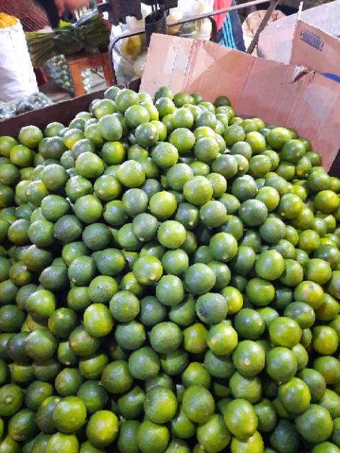 Jual Jeruk Nipis Fresh 1kg | Jeruk Nipis | Shopee Indonesia Jual Jeruk Nipis Fresh 1kg | Jeruk Nipis | Shopee Indonesia
