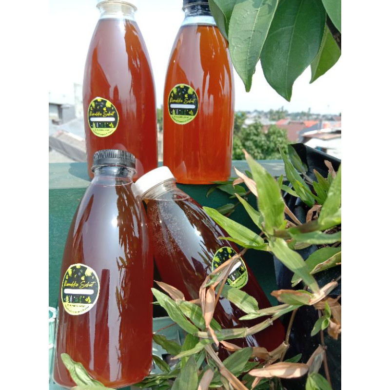 Jual Kombucha, fermentasi teh organik 350 ml | Shopee Indonesia