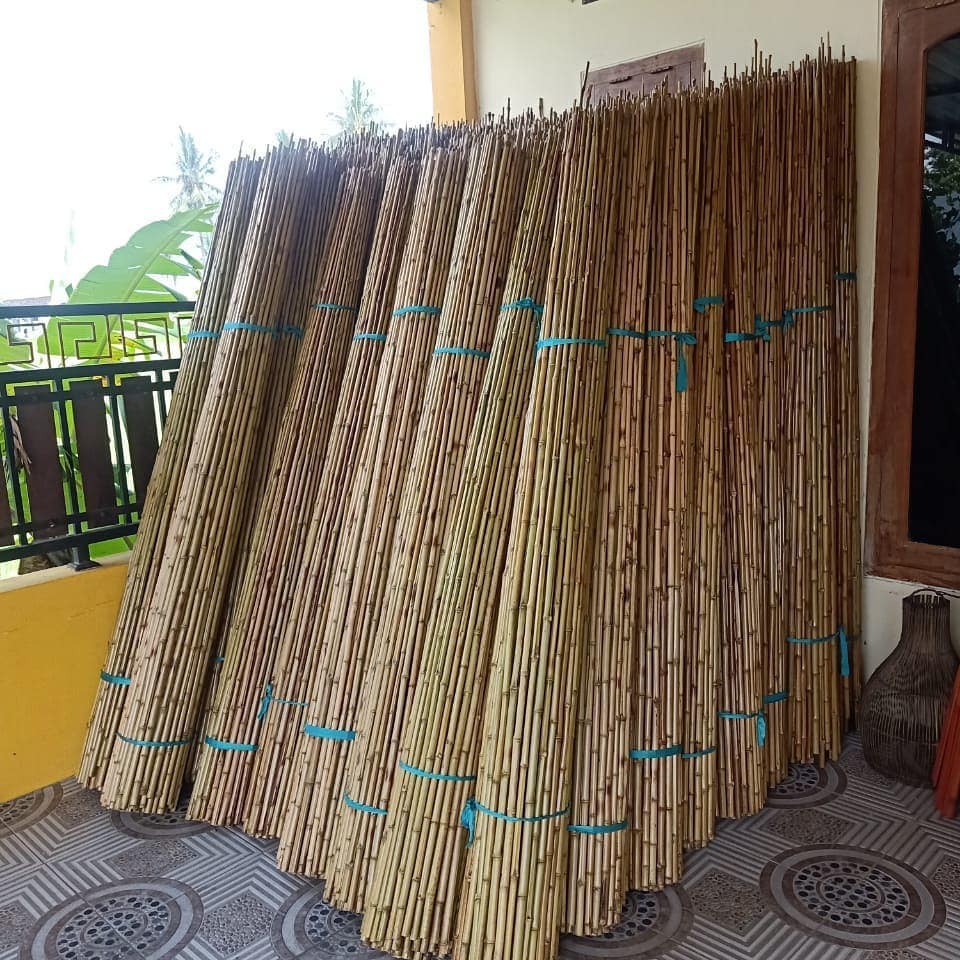 Jual STICK BAMBU DEKORASI RUMAH PANJANG 2 METER POLOS TERMURAH | Shopee ...