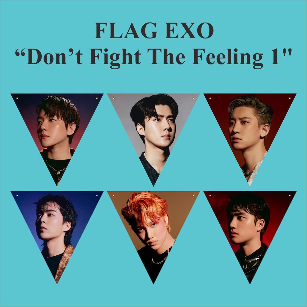 Jual BUNTING FLAG EXO DON'T FIGHT THE FEELING Plus Tali Kpop Murah ...