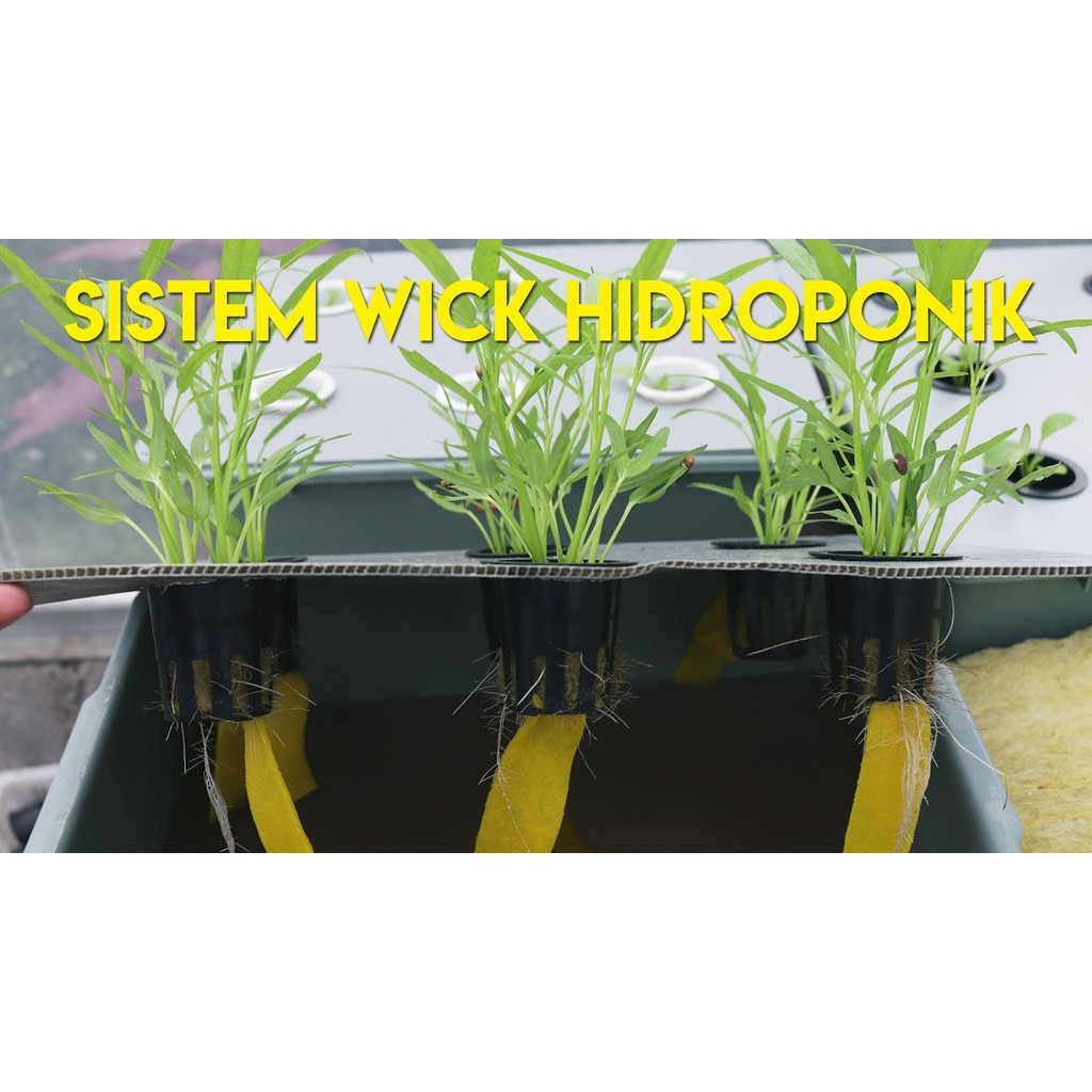 Jual HIDROPONIK SET STARTER KIT PEMULA LENGKAP 4 BAK 48 LUBANG SIAP ...