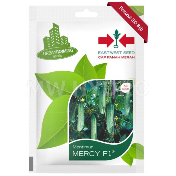 Jual Benih Mentimun MERCY F1 - Panah Merah - East West Seed | Shopee ...