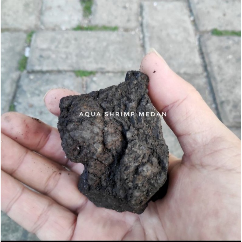 Jual BATU LAVA ROCK HITAM AQUASCAPE | Shopee Indonesia