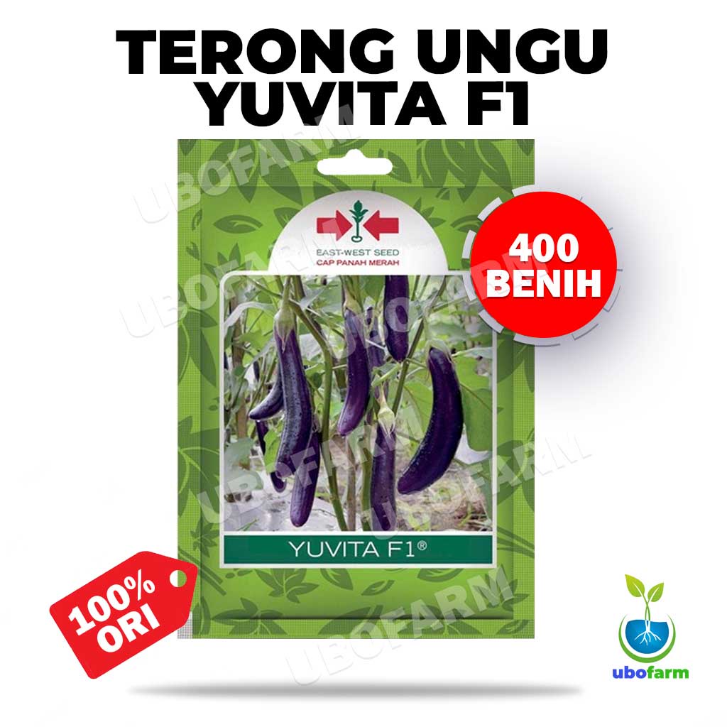 Jual Benih Terong Ungu Yuvita F1 SP Cap Panah Merah isi 400 Benih | Shopee Indonesia