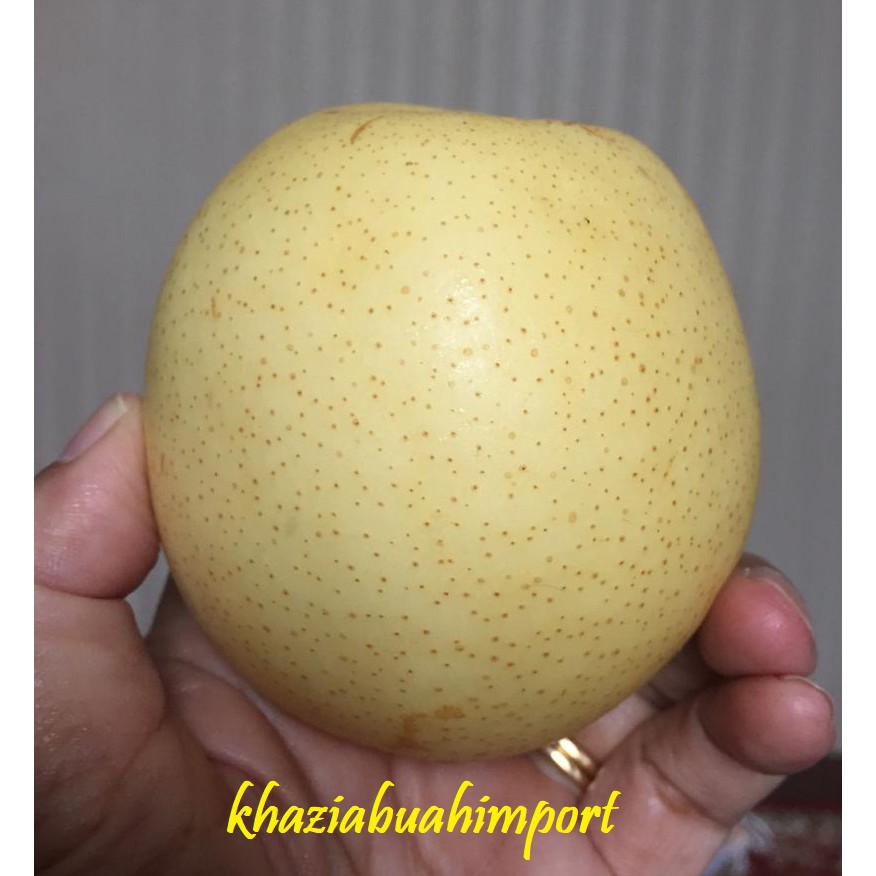 Jual Pear Century Buah Pir Import Segar Pilihan | Shopee Indonesia
