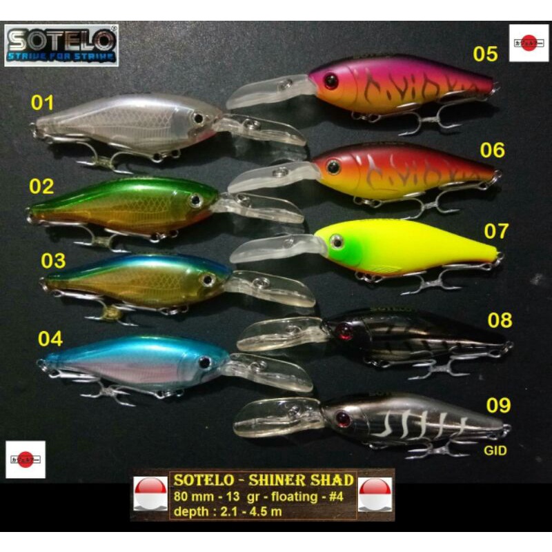 Jual SOTELO - SHINER SHAD | Shopee Indonesia