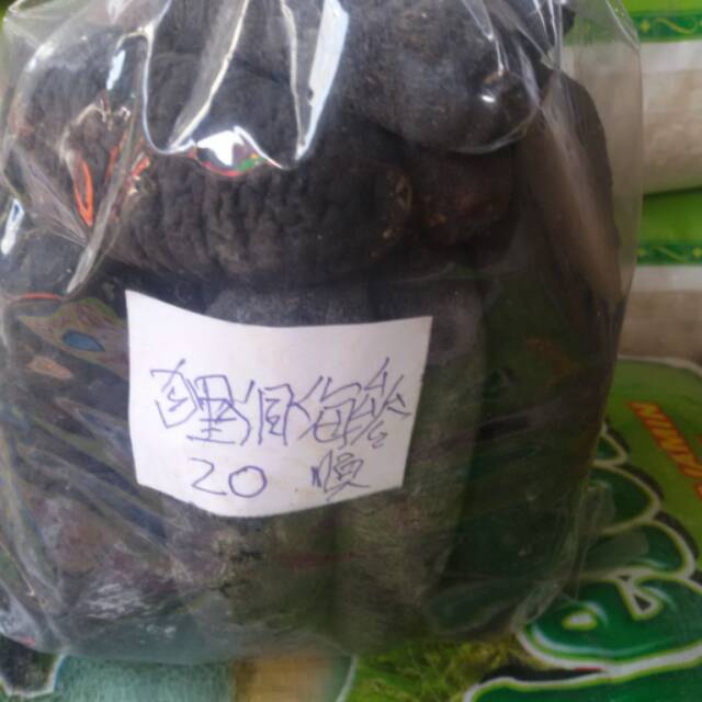 Jual HAISOM/TERIPANG/SEA CUCUMBER ISI 20 | Shopee Indonesia