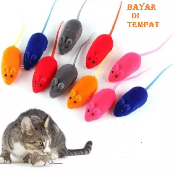 Jual Mainan kucing tikus tikusan - mainan tikus untuk anjing | Shopee ...