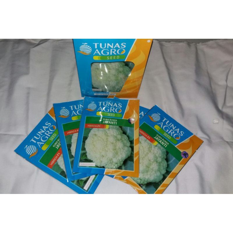 Jual BENIH KUBIS BUNGA KOL JAYANTI 10GRAM, KROP BUNGA BESAR, PADAT ...